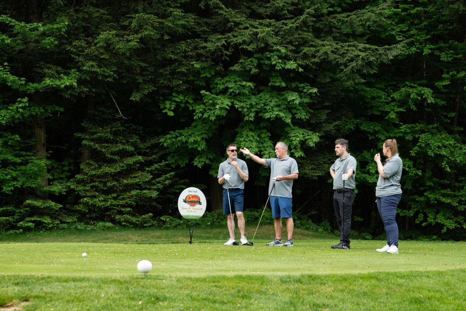 Tournoi de golf 2026 - AQDFL - Association québécoise de la ...